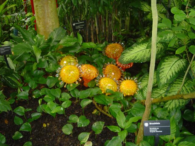 Glass in the Garden: Vitreous Parallel Botany in the Show Me State