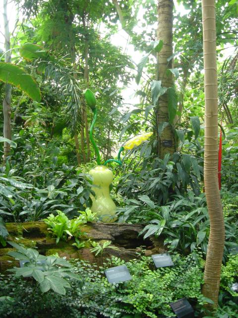 Glass in the Garden: Vitreous Parallel Botany in the Show Me State