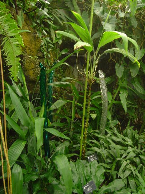 Glass in the Garden: Vitreous Parallel Botany in the Show Me State