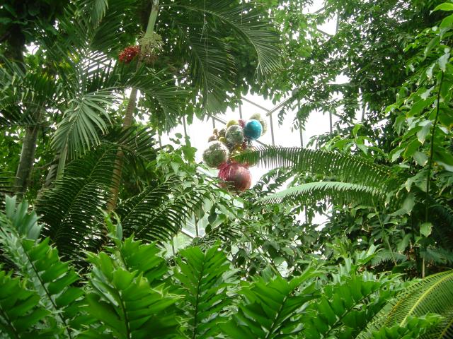 Glass in the Garden: Vitreous Parallel Botany in the Show Me State