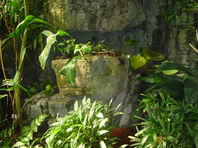 Glass in the Garden: Vitreous Parallel Botany in the Show Me State