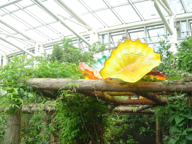 Glass in the Garden: Vitreous Parallel Botany in the Show Me State